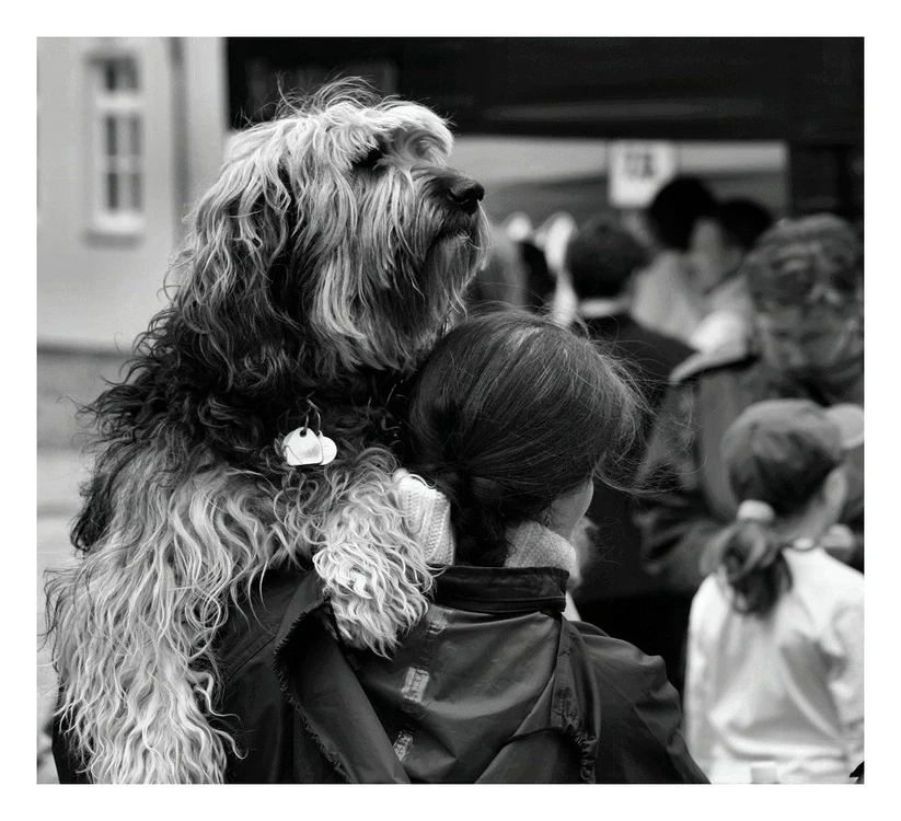 Z PIESIEM NA SPACERKU 02 - Tahapa | PLFOTO