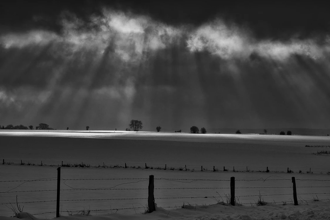 Spacer z aparatem - andrzejbur | PLFOTO